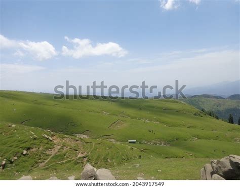 54 Imágenes Fotos De Stock Objetos En 3d Y Vectores Sobre Toli Peer Shutterstock