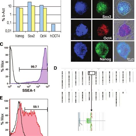 Generation And Transduction Of Patient Specific Induced Pluripotent Download Scientific Diagram