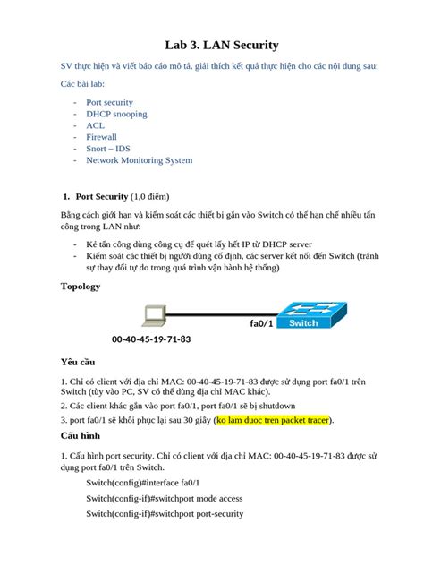 Lab3 Lan Security Pdf