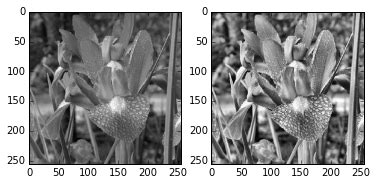 Python OpenCV图像直方图 calcHist方法 equalizeHist方法 cv equalizehist histsize 参数 CSDN博客