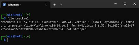 Reversing Elf — Tryhackme Walkthrough By Noman Chowdhury Medium