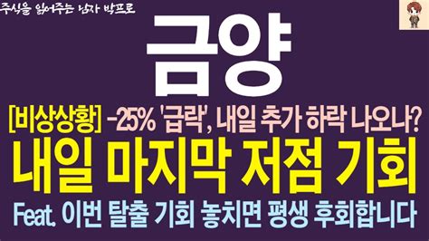 금양 주가전망 비상상황 25 급락 내일 추가 하락 나오나 내일 마지막 저점 기회 이번 탈출 기회 놓치면 평생