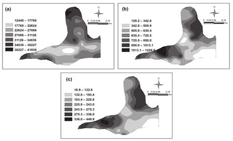 Spatial Distribution Maps Of A Iron B Manganese And C Zinc Download Scientific Diagram