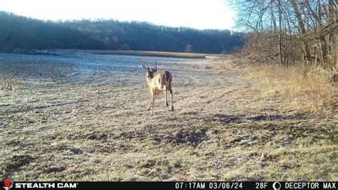 Deceptor™ Max Cellular Trail Camera Stealth Cam