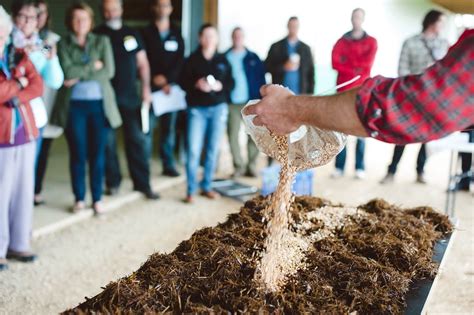 Mushroom Cultivation Pasteurising Bulk Substrate For Many Bags Of Shrooms