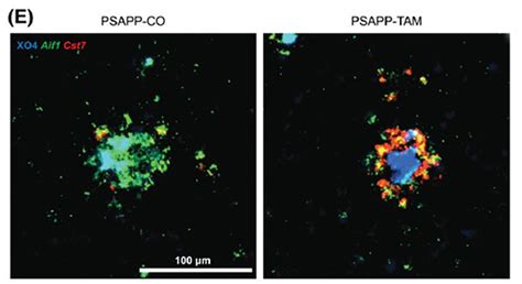 Simrit Parmar Posted On Linkedin
