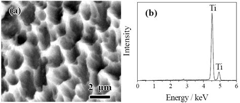 A Sem Micrographs And B Edx Profiles Of The Surface Of The Ti Plate