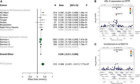 Association Analyses Of Rs1597000001 T Allele With Hdl C Forest Plot Of