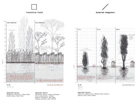 Pin Von JSTUDIO RESEARCH LAB Auf SECTIONS Landschaftsarchitektur Grafik Visualisierung