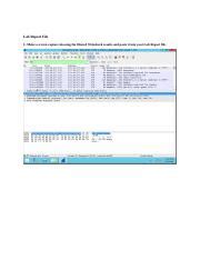CSCI Lab Docx Lab Report File Make A Screen Capture Showing The Filtered Wireshark