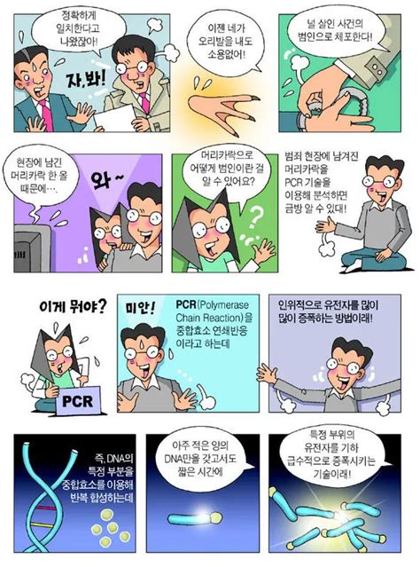 중합효소연쇄반응
