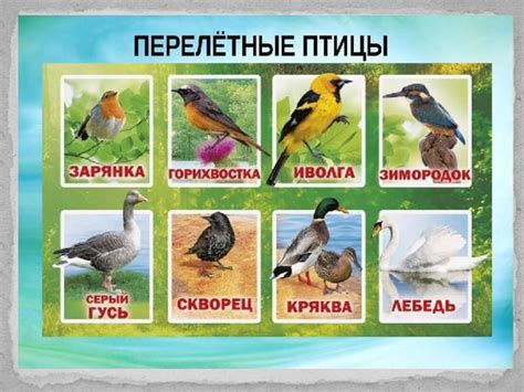Перелетные птицы картинки для детей