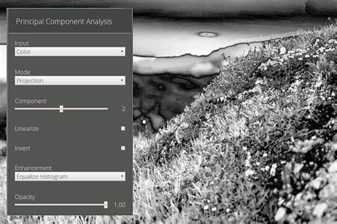 Principal Component Analysis For Photo Forensics 29ach
