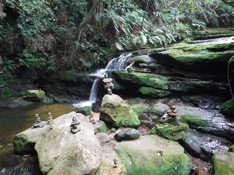 West River Academy An International Private Academy For Autodidacts Peggy Webb Director