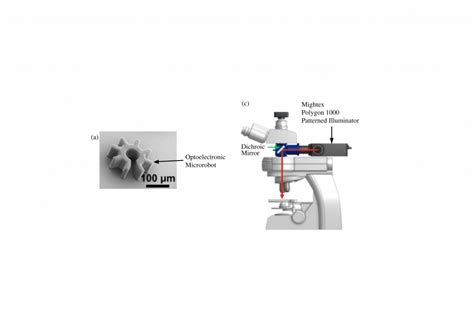 Single Cell Isolation Using The Optoelectronic Microrobot Mightex Stimulation And Imaging