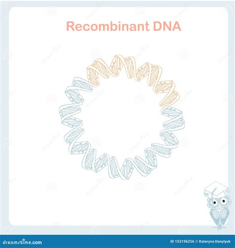 Plasmid Vector Stock Illustrations Plasmid Vector Stock Illustrations Vectors Clipart