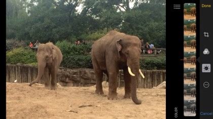 How To Edit Photos In Ios Techradar