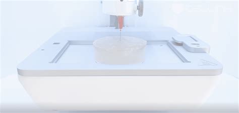 Webinar 3d Fresh Bioprinting Cellink