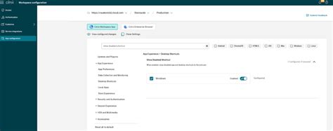 应用程序偏好设置 适用于 Windows 的 Citrix Workspace 应用程序