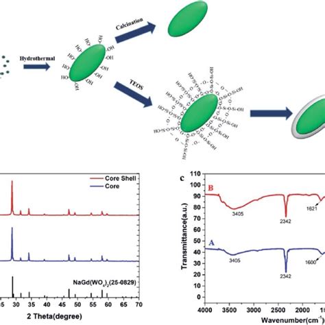 Characterizations For The Core Ngwyb 3 Er 3 And The Core Shell Download Scientific Diagram