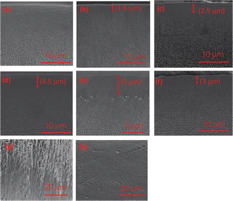 Cross Sectional FIB SEM Images Of Six Representative Samples Of Hollow Download Scientific