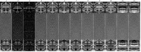 29 Eigenvector Image Spatial Filter Bands For The Scenario 025