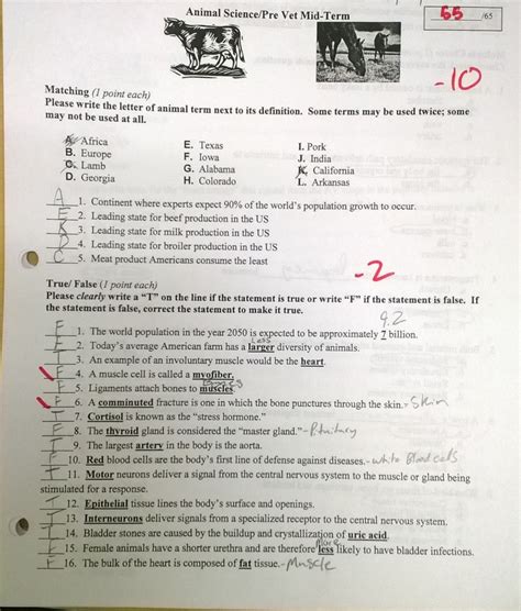 Prepost Assessment Analysis And Chart