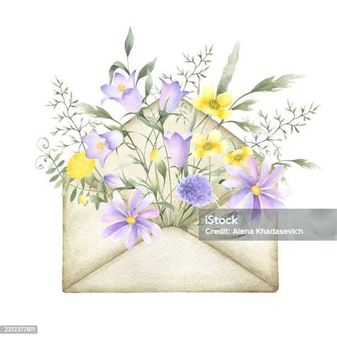 수채화 야생화 도라지 코스모스 미나리아재비 민들레 초원 잔디 오래 된 빈티지 봉투 필드 옐로우 라일락 흰색 꽃 손으로 그린 고립 그림 엽서 스티커 0명에 대한 스톡 벡터