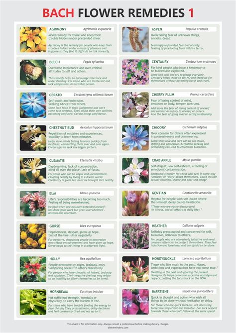 Bach Flower Remedies Digital Download Pdf Rescue Remedy Bfr Essences