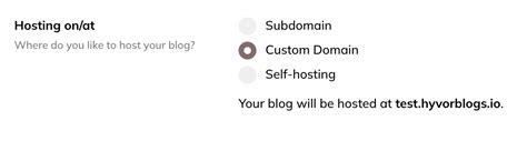 Blog With Custom Domain The Ultimate Guide
