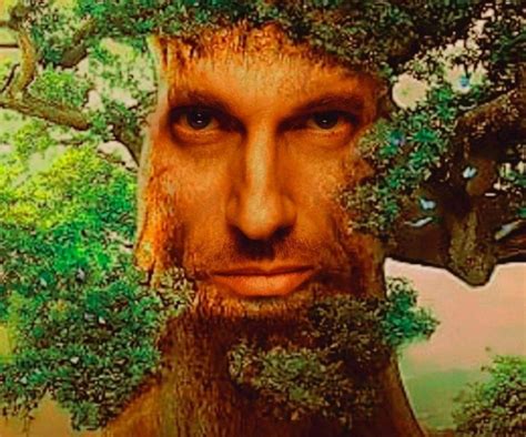 Create Meme The Mystical Tree A Tree With A Face Wise Mystical Tree
