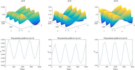 Formation Of Nontrivial Time Periodic Patterns Of 11 In Ω 0 2