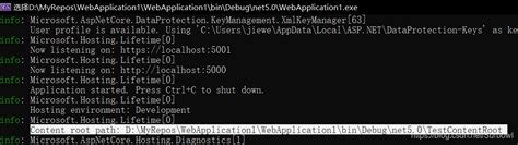 asp core 改变 content 和 web root root 目录路径 content root path csdn博客