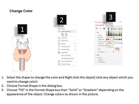 Thyroid Gland Medical Images For PowerPoint Presentation PowerPoint Diagrams PPT Sample