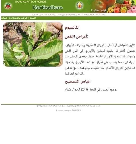 Hazem Mostfa Posted On Linkedin