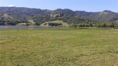 Stafford Lake Park Novato 2020 All You Need To Know Before You Go