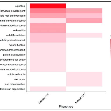 Heatmap Depicting Biological Processes Enriched By Gene Ontology Terms