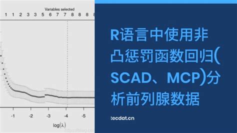 R语言中使用非凸惩罚函数回归scad、mcp分析前列腺数据教育高等教育好看视频