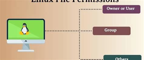 understanding file permissions in linux a comprehensive guide dev