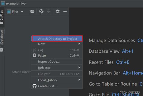 Datagrip连接hive教程 Csdn博客