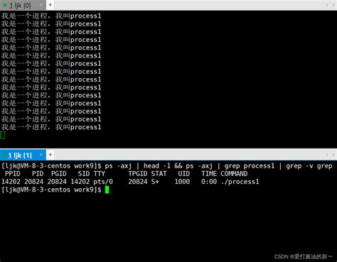 【linux】进程的描述组织与进程状态 头歌进程的描述与状态 csdn博客