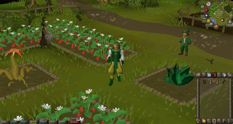 Hosidius Favor Osrs Guide Rune Fanatics