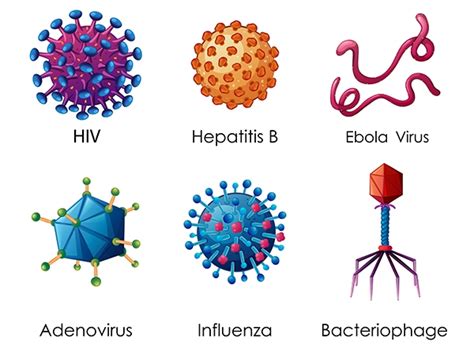 Agentes Infecciosos Wited