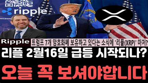 리플전망 리플 Xrp 리플ceo 다 알면서도 일부러 모르는 척을 한 이유 대박 오늘 영상은 꼭 보셔야합니다 리플전망 리플호재 리플급등 리플코인 리플소송