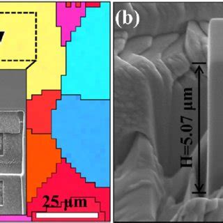 A EBSD Orientation Map In The Identified Area Where The Selected Download Scientific Diagram