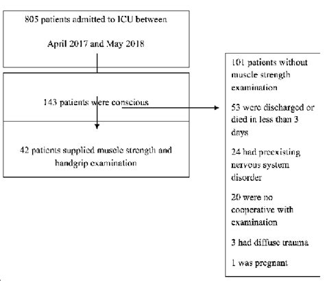 Diagram Of Icu Patients Assessment Download Scientific Diagram