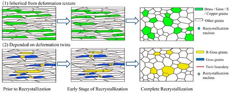 Metals Free Full Text Evolution Of Recrystallization Texture In