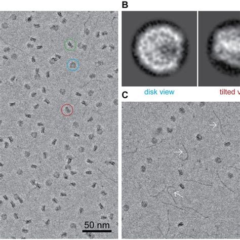 3 9 ˚ A Phase Plate Cryo Em Structure Of The Nucleosome Core Particle Download Scientific