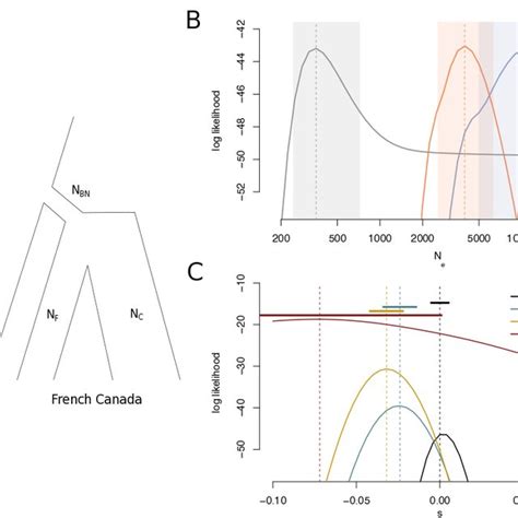 A Sketch Of The Model Used For Maximum Likelihood Estimation Download Scientific Diagram