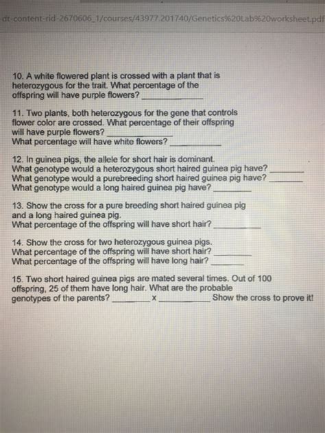 Solved Cs Lab Worksheet Dt Content Rid Chegg